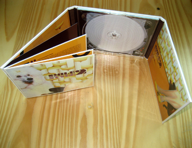 Custom Dvd Friends Digipack Manufacturer, Dvd Digipak Case