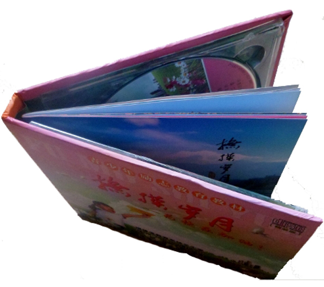 Custom Dvd Friends Digipack Manufacturer, Dvd Digipak Case